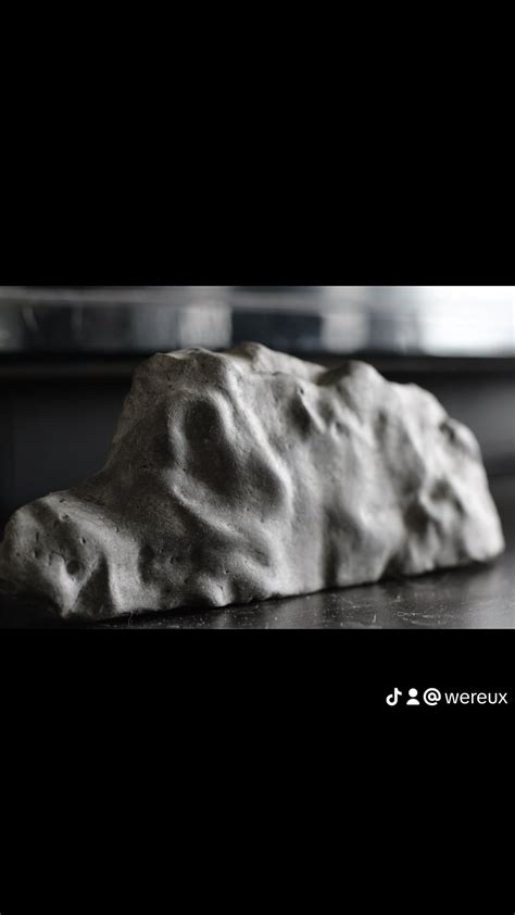 Croc Rock R Fossils