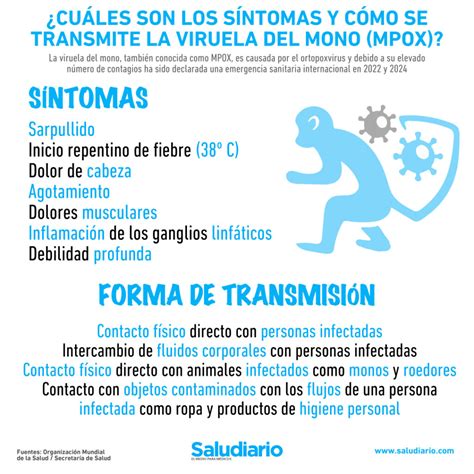 Viruela Del Mono Mpox Síntomas Y Formas De Contagio Saludiario