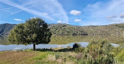 Csrd Directive Corporate Sustainability Reports