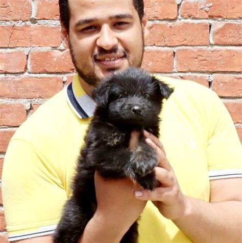 مبيطقش حد تدريبكلاب كابتنشريفشحاته دربكلبكبنفسك كلاب كلاب