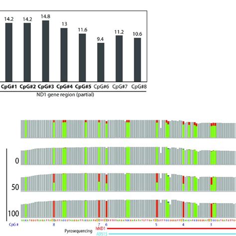 Targeted Bisulfite Deep Sequencing Of Purified Linearized Human Mtdna Download Scientific