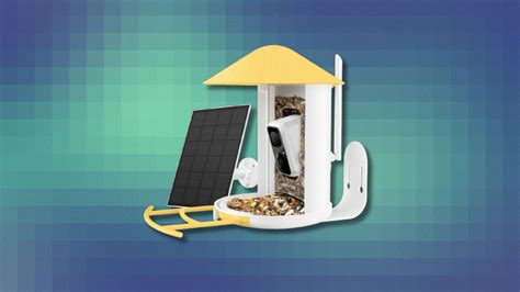 The Super Table Netvue Birdfy Smart Bird Feeder Is 36 Off At Amazon