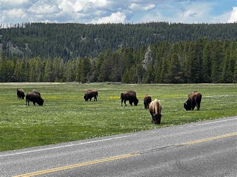 Bozeman To North Yellowstone National Park Entrance
