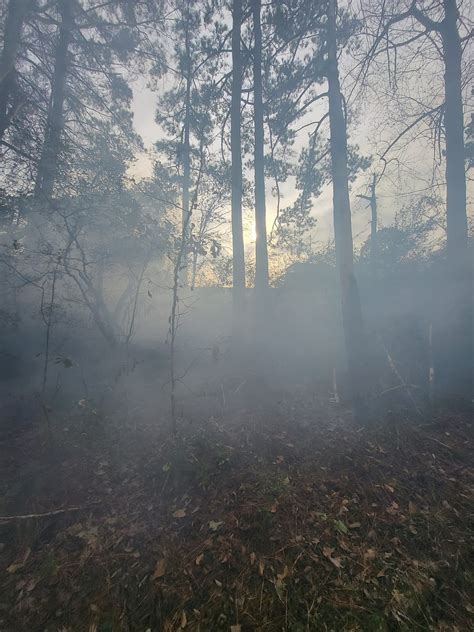 Leland Crews Control Fast Moving Woods Fire In Mt Misery Road Area