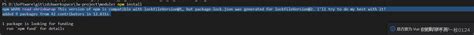 Git Clone下新项目后运行报错‘vue Cli Service‘ 不是内部或外部命令，也不是可运行的程序或批处理文件。clone 不