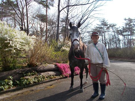 咲いたー、咲いたー、チューリップの花が。
