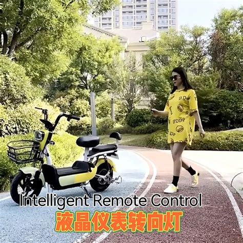 Portable Rechargeable Electric Scooter With Removable Power Supply High