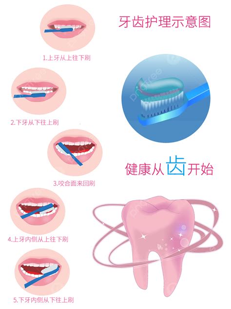 핸드 드로잉 치아 케 어 설명도 손으로 그린 장식 패턴 기발한 Png 일러스트 및 벡터 에 대한 무료 다운로드 Pngtree