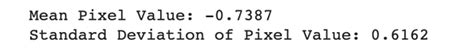 Mnist Torchvision Datasets Idx Eda