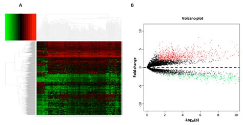 Current Oncology Free Full Text Immune Related Long Non Coding Rna