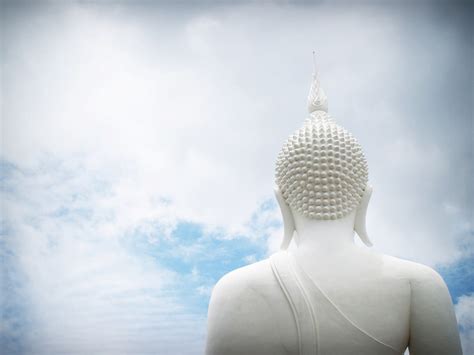 Zen Reiki Attunement ~ New Earth Energies Reiki Attunements