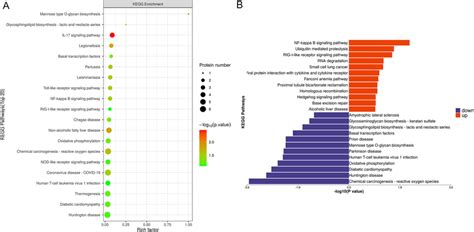 Kegg Pathway Analysis A The Kegg Pathway Enrichment Bubble Diagram Download Scientific Diagram