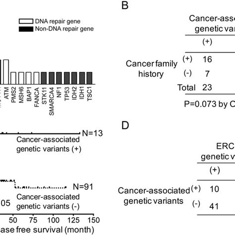 The Impact Of Germline Cancer Associated Variants On Clinical Outcome Download Scientific