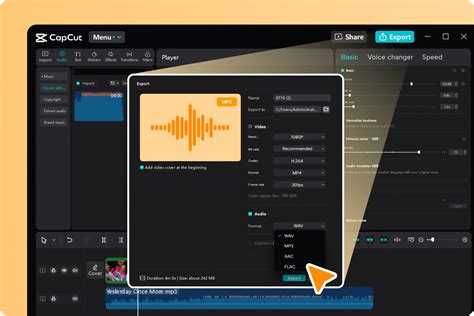 Convertidor De Audio Conversión Rápida Y Fácil