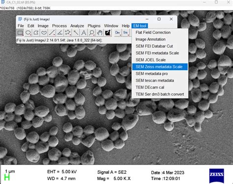 Setup Automatic Scale Bar Of Sem Fesem Images Using Metadata In