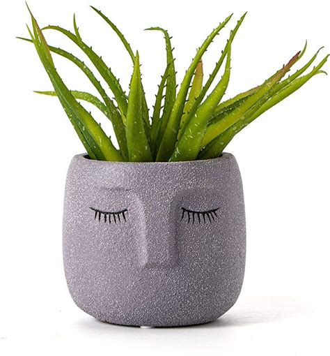 Awef Head Design Planter Pot With Drainage Hole Elegant Cement Face
