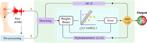 The Proposed Evolutionary Denoising Hybrid Classification System