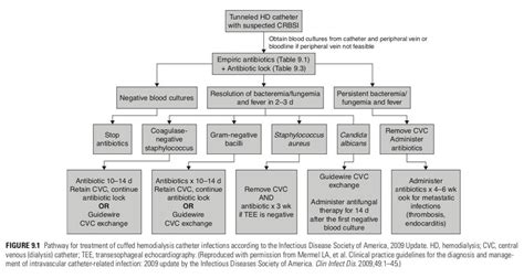 Sepsis Empiric Antibiotics