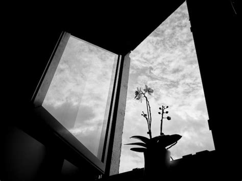 Monotone Window Images Free Download On Freepik