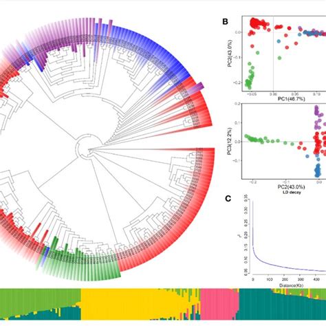 Population Structure Of 225 Rice Accessions A Neighbor Joining