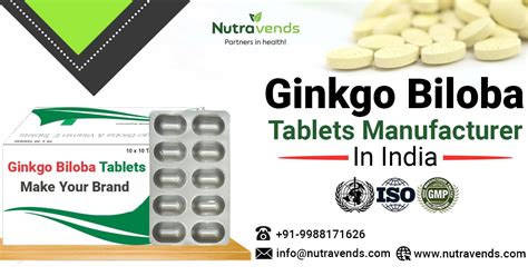 Ginkgo Biloba Tablets Manufacturing Company In India