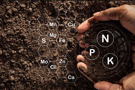 China Nitrogen Phosphorus And Potassium Detector Supplier Nitrogen Phosphorus And Potassium