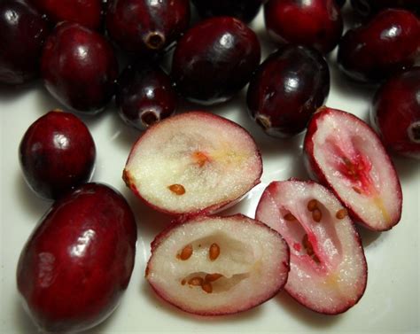 Cranberry