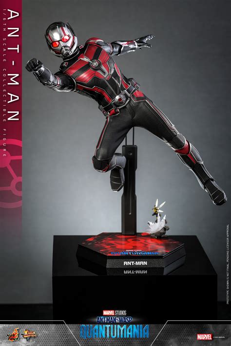 Ant Man And The Wasp Quantumania Hot Toys Ant Man And Wasp Figures