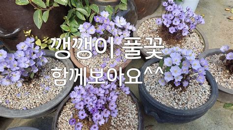 민속품 마당장식용품 석물 너와기와 옛날방문 깽깽이풀 기와 Youtube