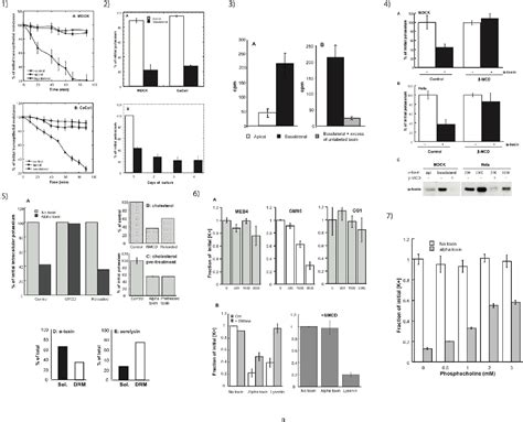 Figure 1 From Staphylococcus Aureus Alpha Toxin Can Bind To Cholesterol Sensitive Phosphatidyl
