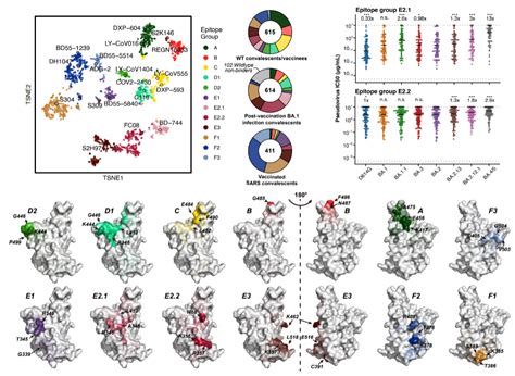 Nature Joint Effort By Top Research Institutions From China Deciphers
