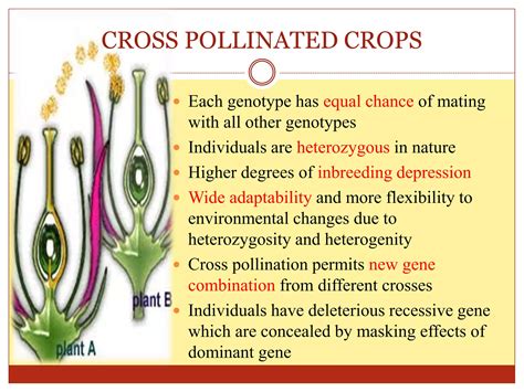 Breeding Methods In Cross Pollinated Crops Pptx