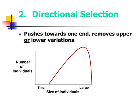Ppt Population Evolution Microevolution Powerpoint Presentation