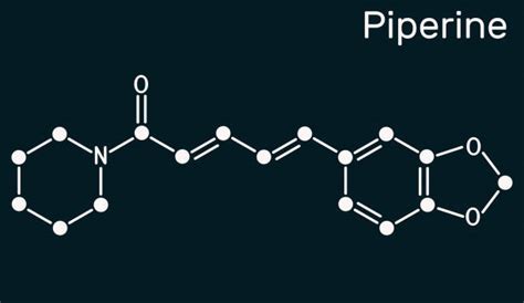 40 Piper Nigrum Stock Illustrations Royalty Free Vector Graphics