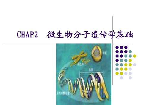 不讲了chap2 微生物分子遗传word文档在线阅读与下载无忧文档
