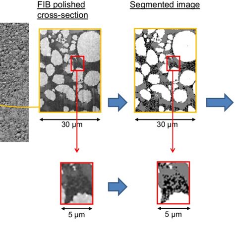 Sem Image Of Sample S4 With One Fib Slice Of The Reconstructed Volume Download Scientific