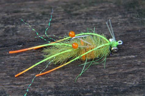 Ascension Bay Mantis Ep Beast Brushes Inc
