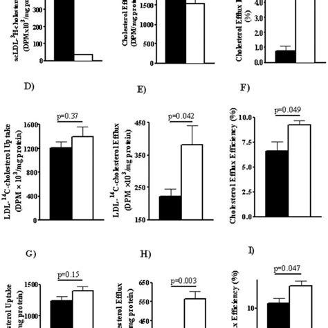 Hdl Clearance In Vivo And Cholesterol Uptake By Isolated Hepatocytes In