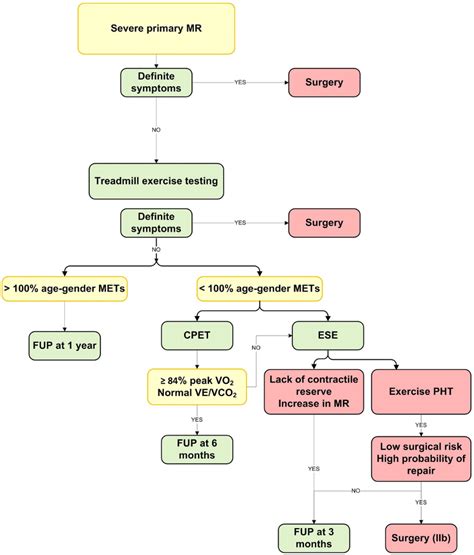 Open Access Exercise Testing In Mitral Regurgitation 2017 Raluca