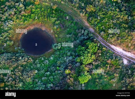 Aerial View To Pond In Dune Landscape Belgium Flanders Stock Photo Alamy