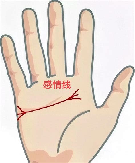 为什么爱情线短怎么看（教你如何看懂自己的手相！）