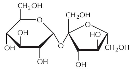 Sugar In Skincare Why You May Find Sucrose On Your Products Ingredients List The Dermatology