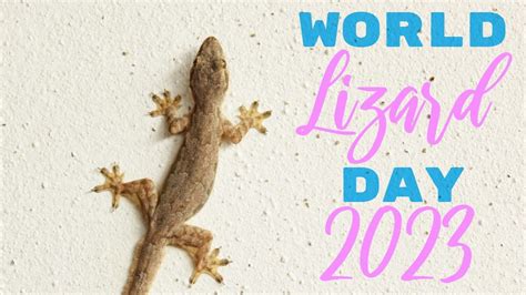 World Lizard Day 2023 History Significance And 5 Common