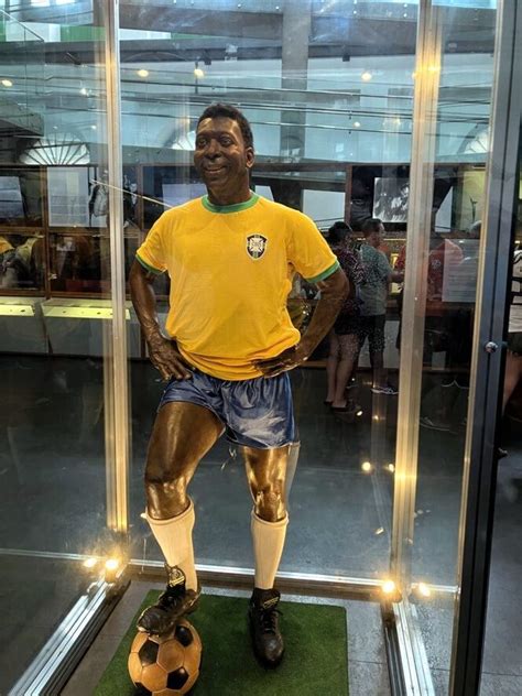 Dicas para visitar o Museu Pelé em Santos Viajante Econômica