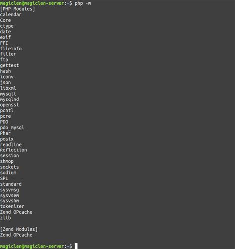 使用Ubuntu Server架設MySQL伺服器並於PHP程式中存取MySQL資料庫 MagicLen