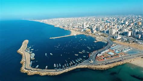Haya Al Aref Cams Posted On Linkedin