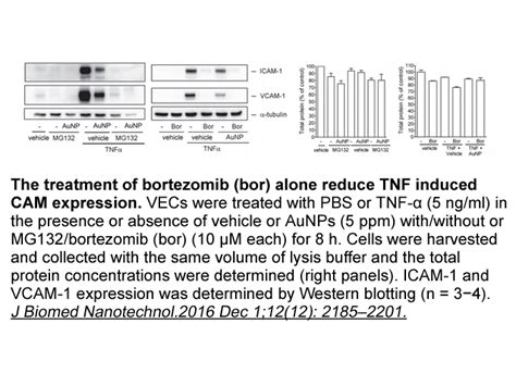 Bortezomib Ps 341proteasome Inhibitorcas 179324 69 7