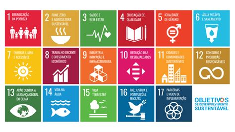 Conheça Os Objetivos De Desenvolvimento Sustentável Da Onu Infant Id
