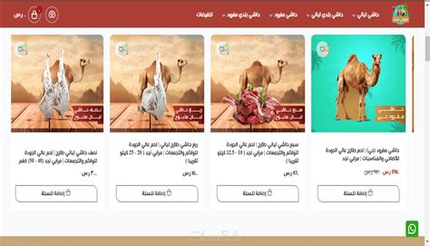 تصميم وتنسيق متجرك في منصة سلة باستخدام اكواد Css خمسات