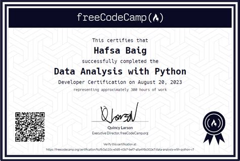 Hafsas Portfolio